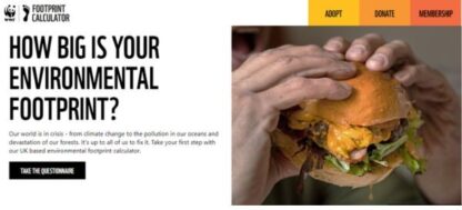 How To Calculate Carbon Footprint: 7 Best Tools for the Job