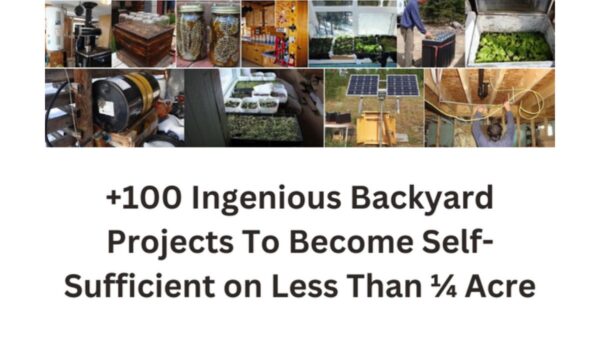 Transform Your Backyard with The Self-Sufficient Backyard Secrets