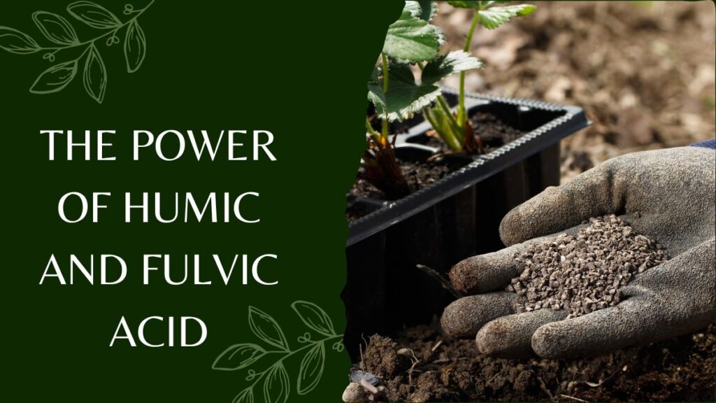 Discover the Hidden Healing Power of Fulvic Acid: A Breakthrough in Cancer Treatment